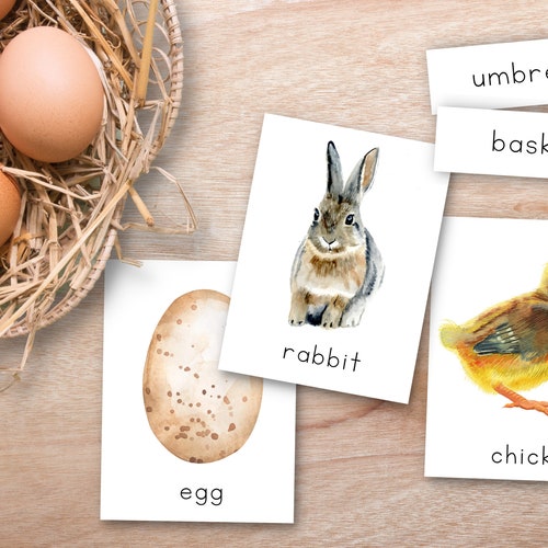 INSECT Nomenclature 3 Part Montessori Spring Flash Cards - Etsy