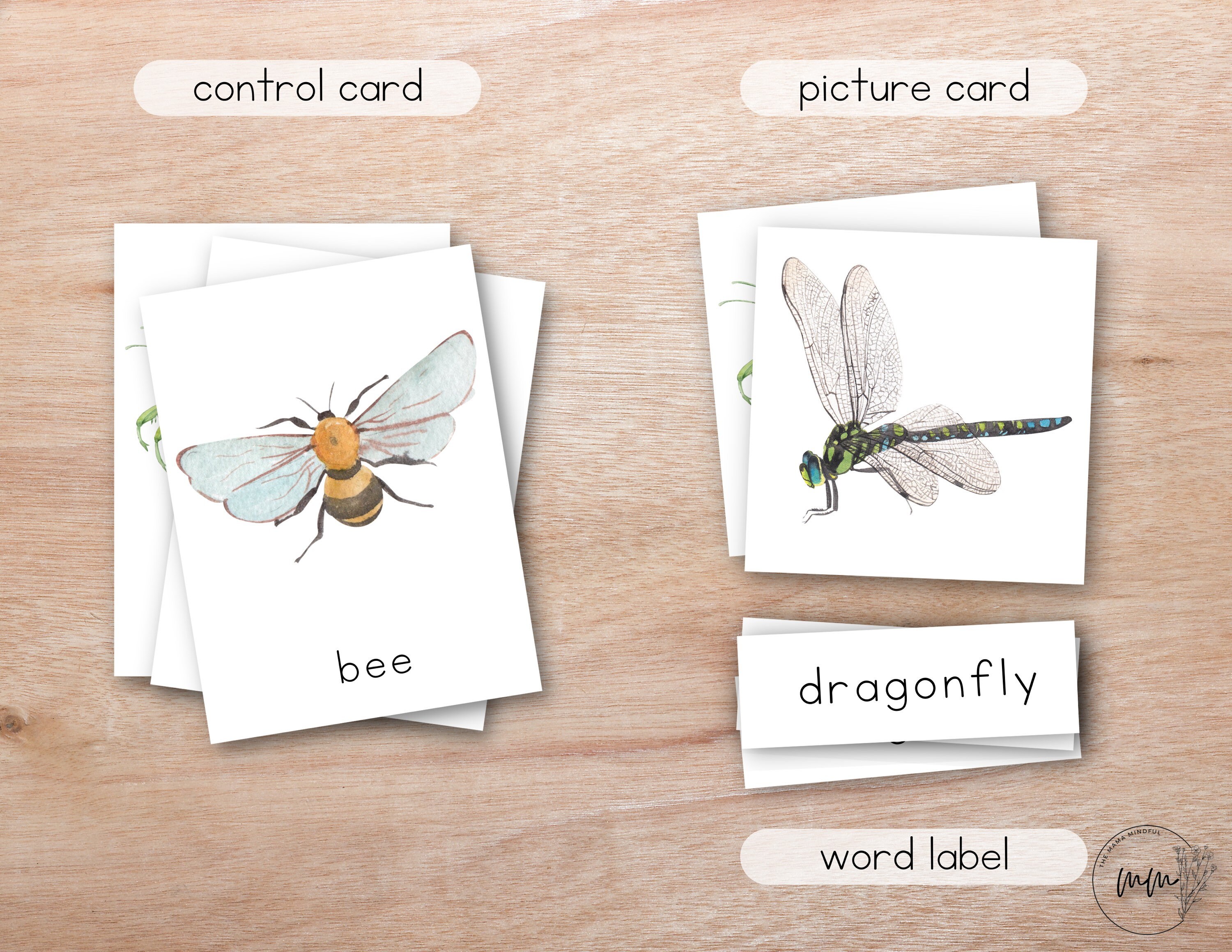 INSECT Nomenclature 3 Part Montessori Spring Flash Cards Printable PDF ...