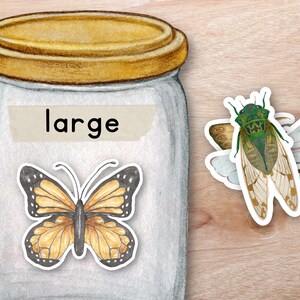 Insect Size Sorting Activity, Insect Size Match, Montessori Nature Unit ...