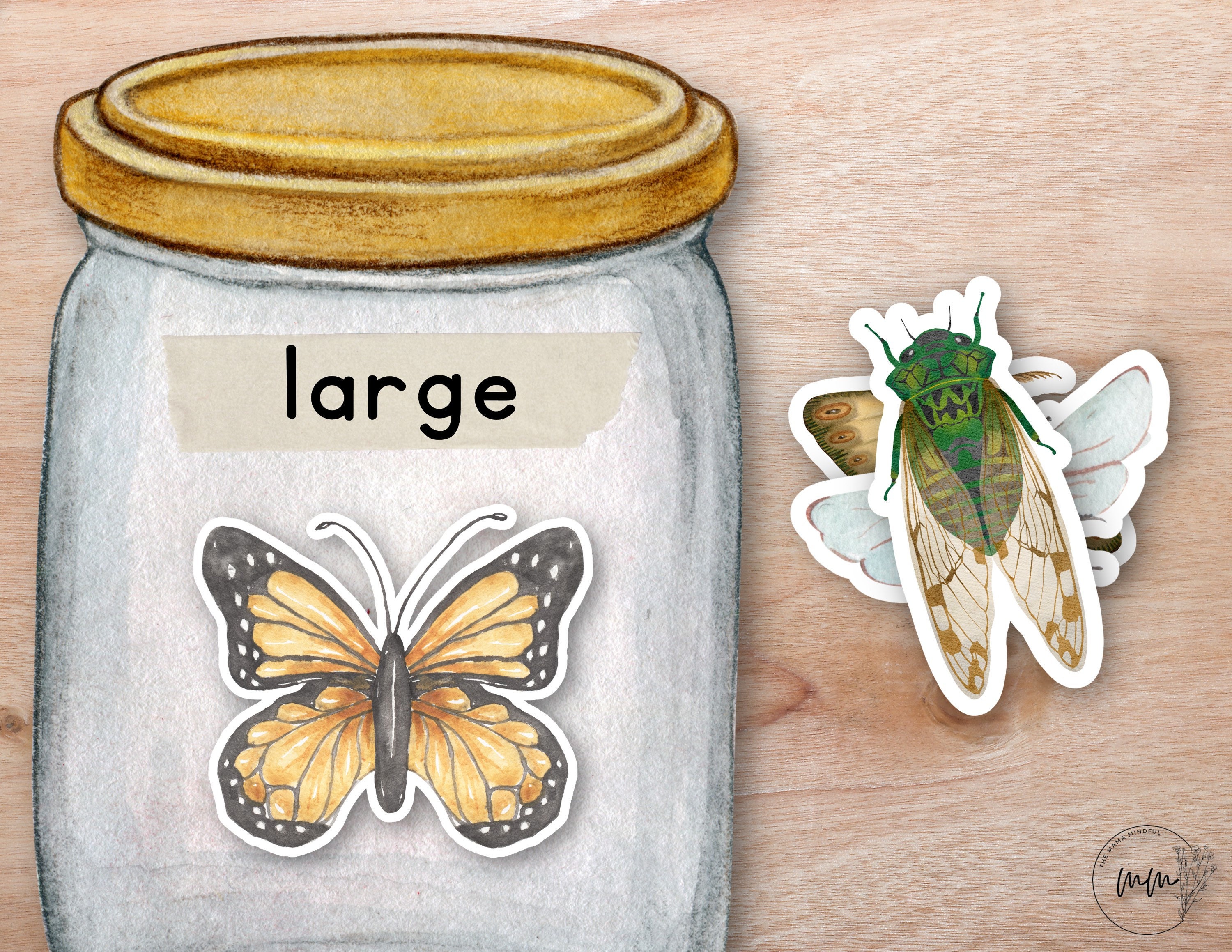 Insect Size Sorting Activity Insect Size Match Montessori - Etsy