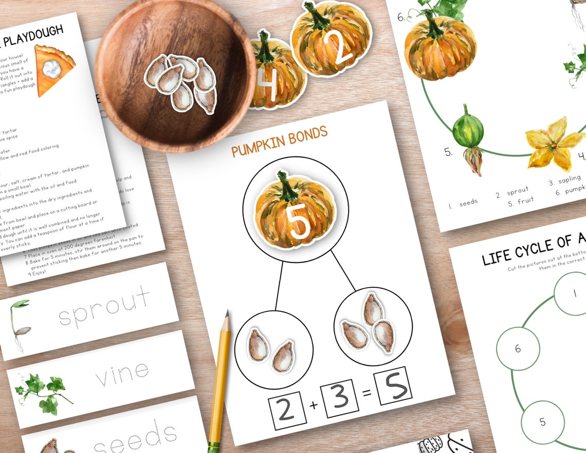 Pumpkin Unit Study Pumpkin Life Cycle Fall Montessori Unit - Etsy