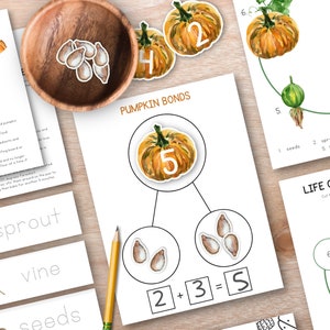 Pumpkin Unit Study, Pumpkin Life Cycle, Fall Montessori Unit, Nature ...