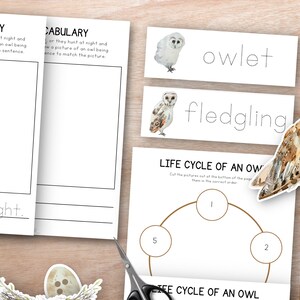 Owl Unit Study Bundle, Owl Study, Fall Montessori Unit, Nature ...