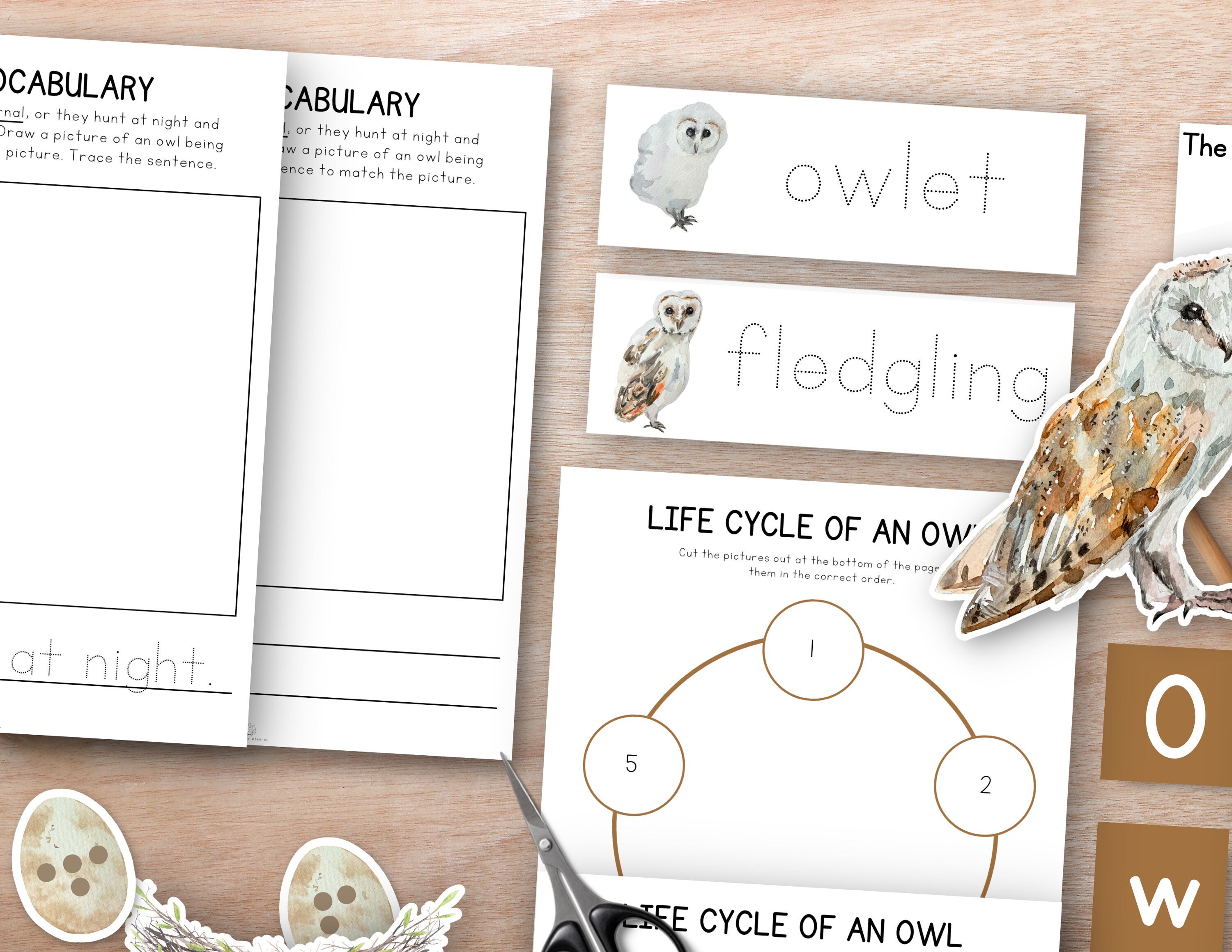 Owl Unit Study Bundle, Owl Study, Fall Montessori Unit, Nature ...