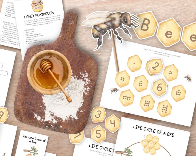 BEE STUDY - Morning Basket - Reggio Inspired - Montessori - Etsy Australia