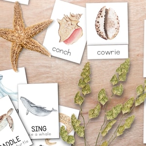 Ocean Unit Study Bundle, Montessori Summer, 3 Part Cards, Math Number ...