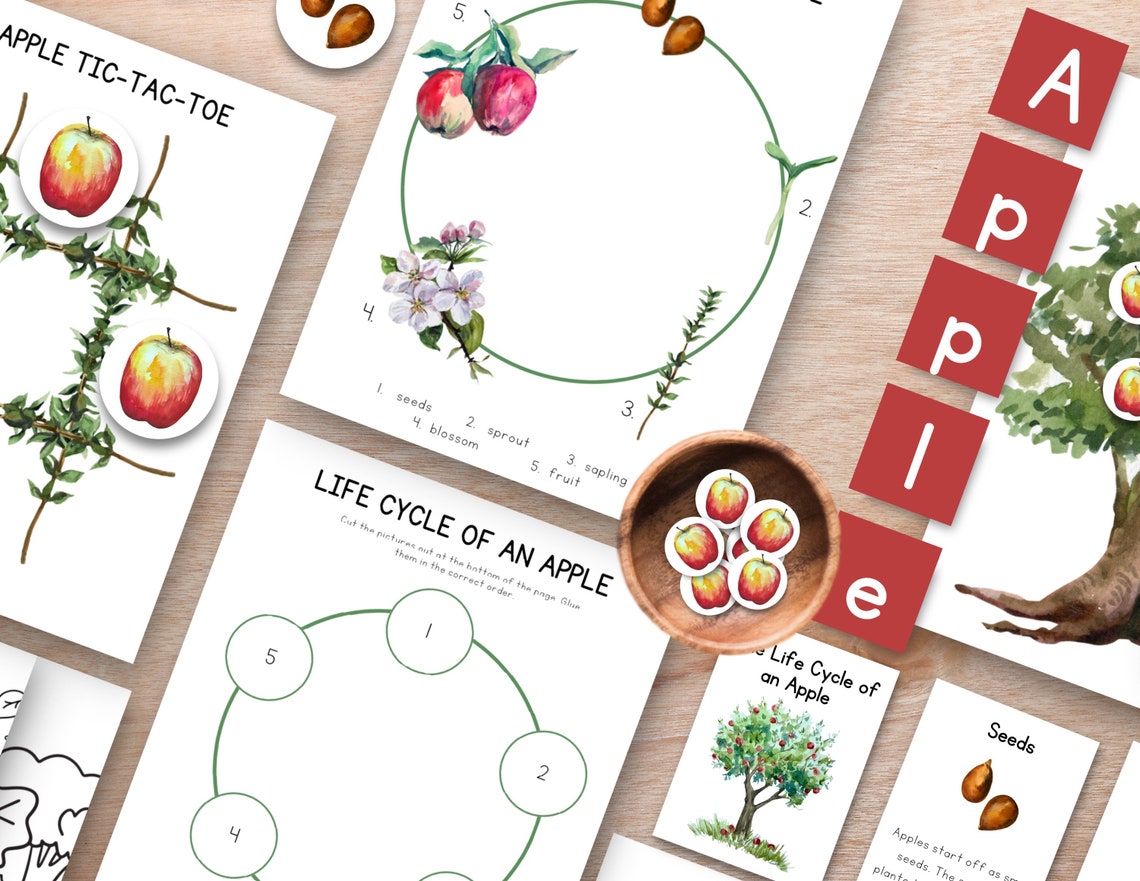 Apple Unit Study Bundle, Apple Study, Fall Montessori Unit, Nature ...