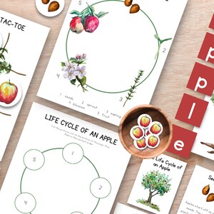 Apple Unit Study Bundle, Apple Study, Fall Montessori Unit, Nature ...