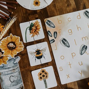 Sunflower Activity Unit, Sunflower Montessori Unit, Nature Flashcards ...