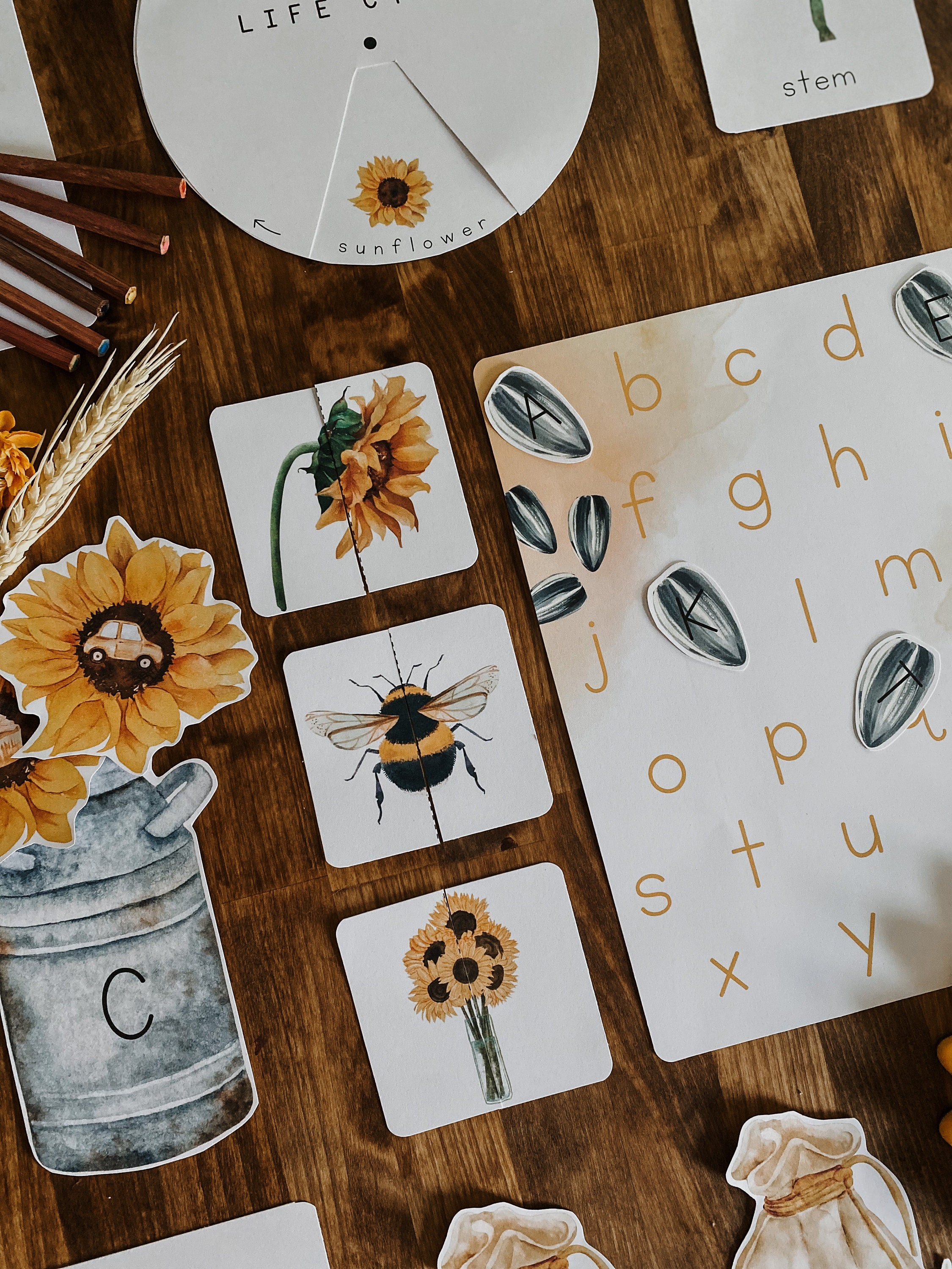Sunflower Activity Unit, Sunflower Montessori Unit, Nature Flashcards ...