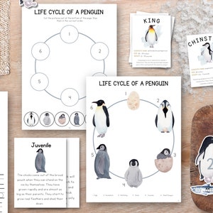 Penguin Unit Study Bundle Penguin Study Penguin Life Cycle - Etsy