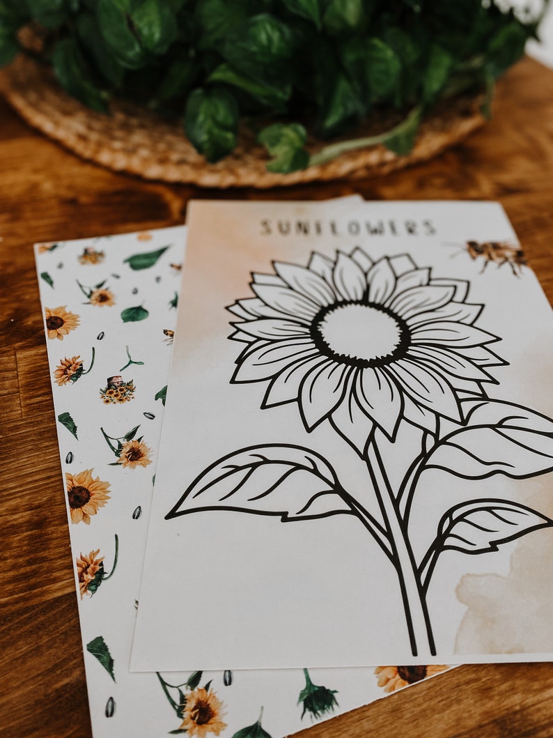 Sunflower Playdough Mat, Sunflowers, Sunflower Life Cycle, Flower ...