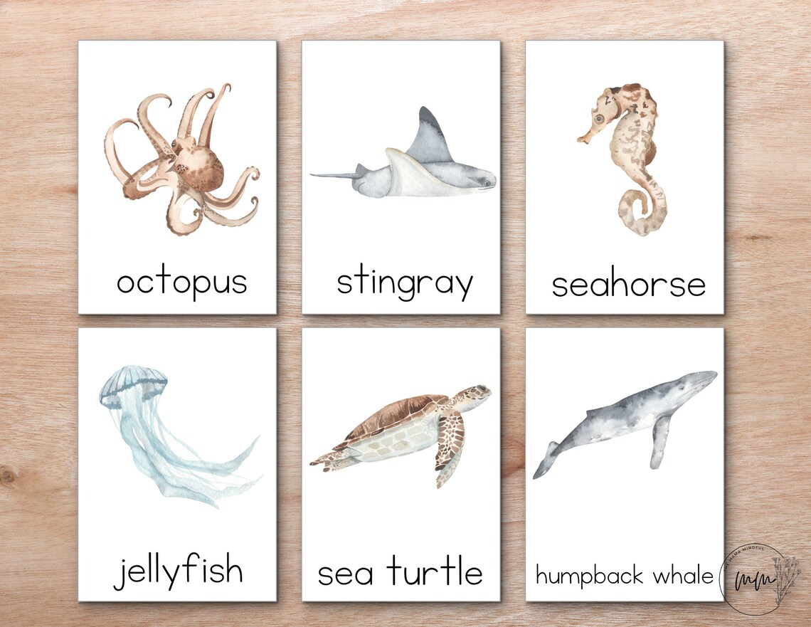 Ocean Animals Nomenclature 3 Part Montessori Cards Summer - Etsy