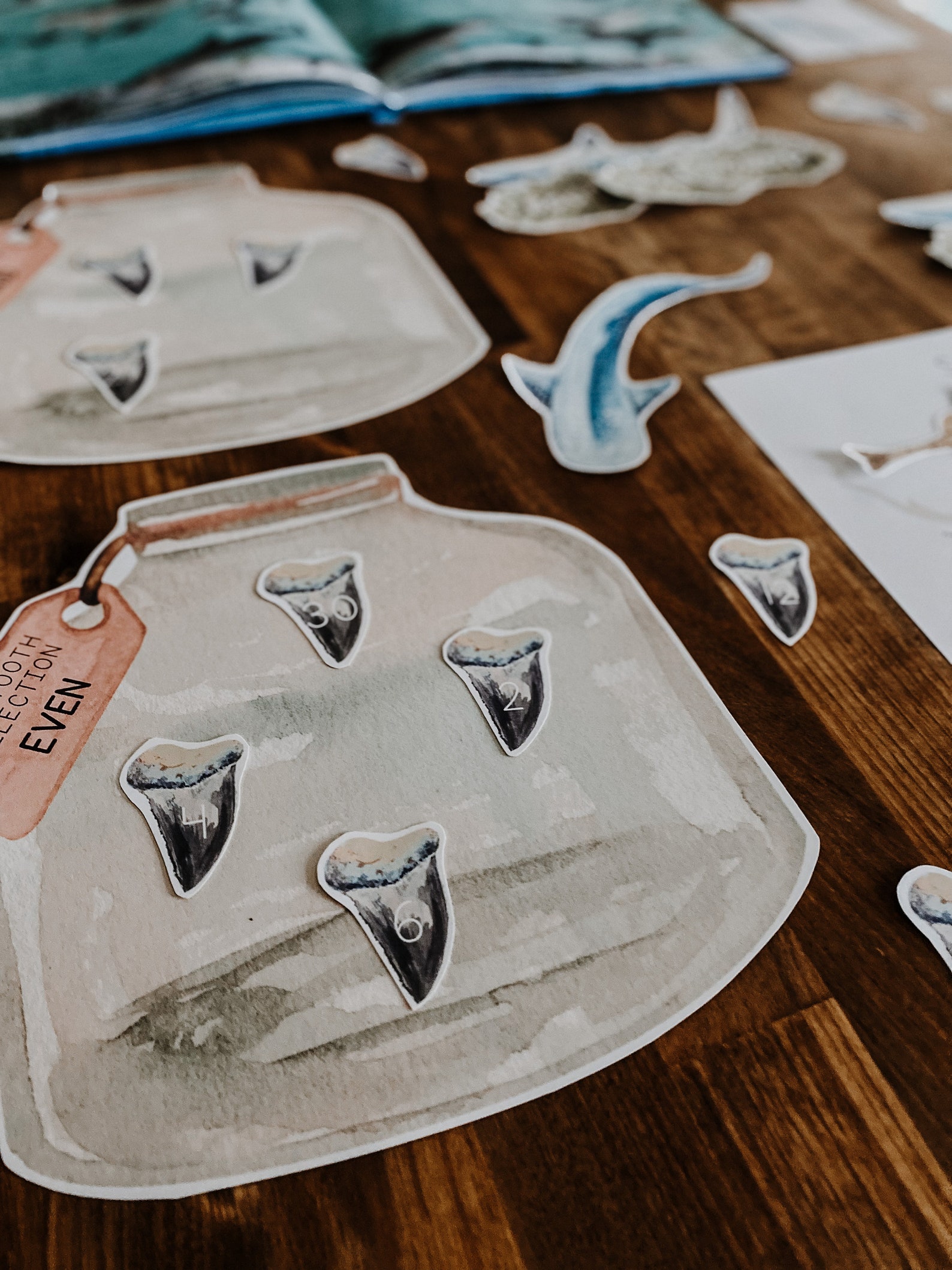 Shark Activity Unit, Shark Study Unit, 3 Part Flashcards, Homeschool ...