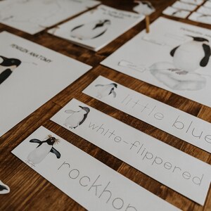 Penguin Unit Study Bundle, Penguin Study, Penguin Life Cycle, Winter ...