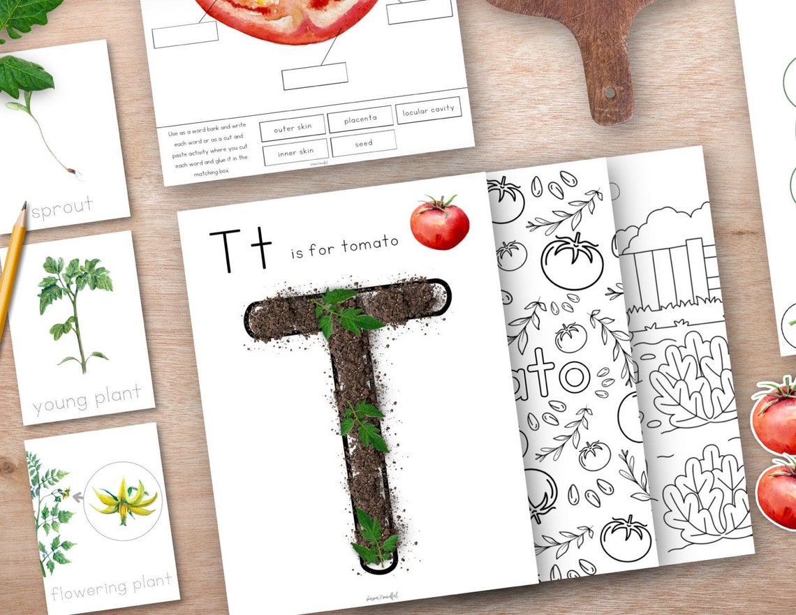 Tomato Study Unit Plant Life Cycle Nature Study Summer - Etsy