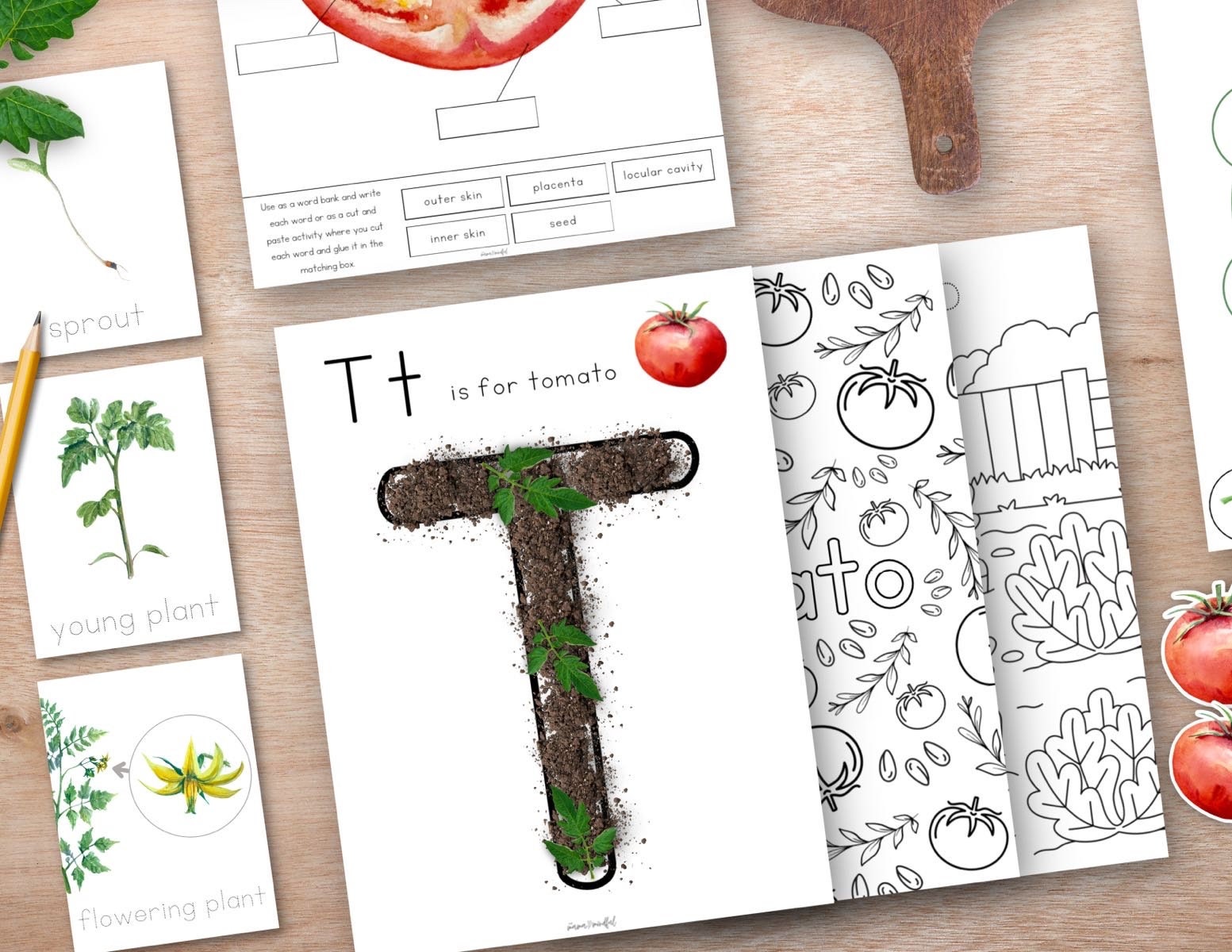 Tomato Study Unit Plant Life Cycle Nature Study Summer - Etsy