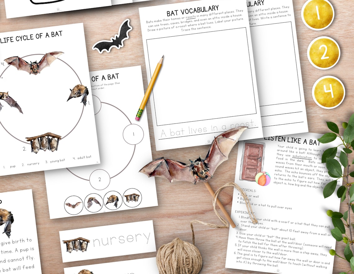 Bat Unit Study Bundle Bat Study Bat Life Cycle Fall - Etsy
