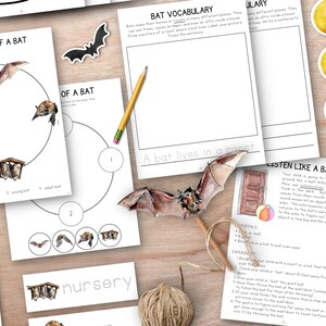 Bat Unit Study Bundle, Bat Study, Bat Life Cycle, Fall Montessori Unit ...