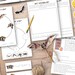 Bat Unit Study Bundle, Bat Study, Bat Life Cycle, Fall Montessori Unit ...