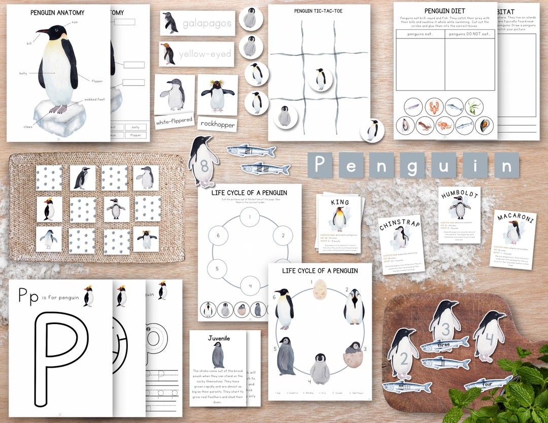 Penguin Unit Study Bundle, Penguin Study, Penguin Life Cycle, Winter ...