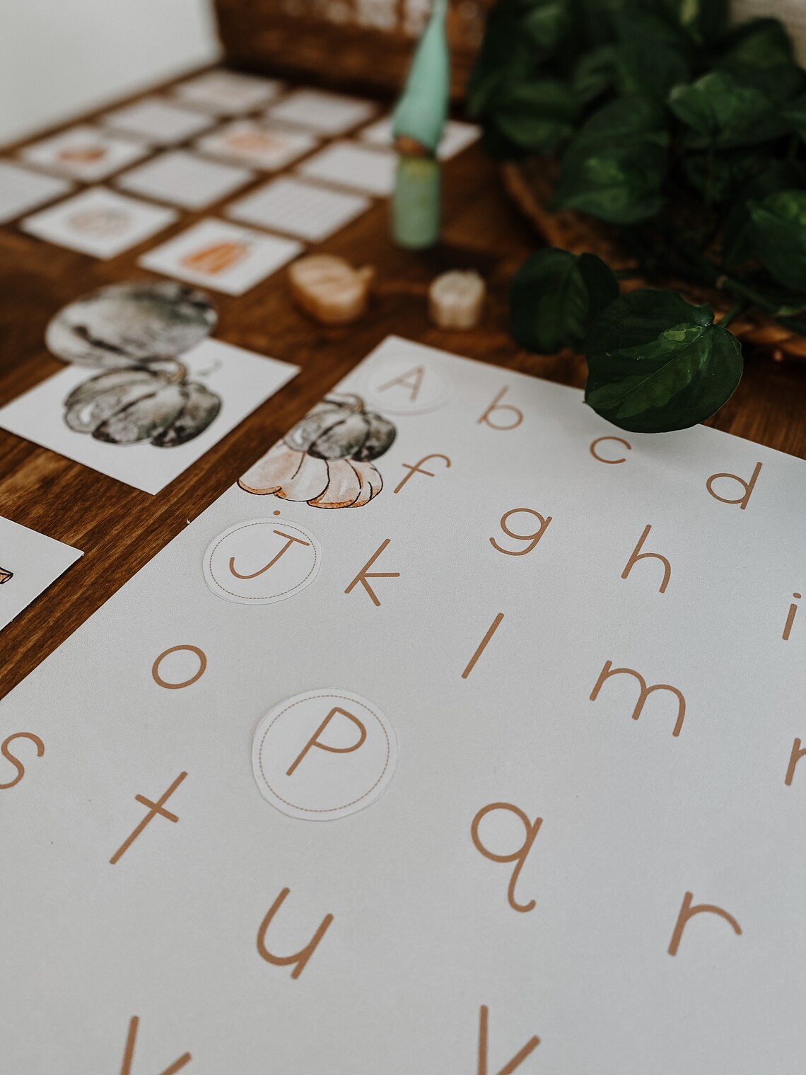 Pumpkin Activity Unit, Pumpkin Montessori Unit, Nature Flashcards ...