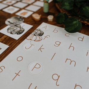 Pumpkin Activity Unit, Pumpkin Montessori Unit, Nature Flashcards ...