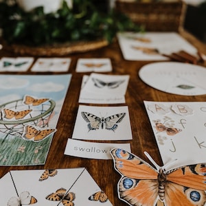 Butterfly Activity Unit, Butterfly Montessori Unit, Nature Flashcards ...
