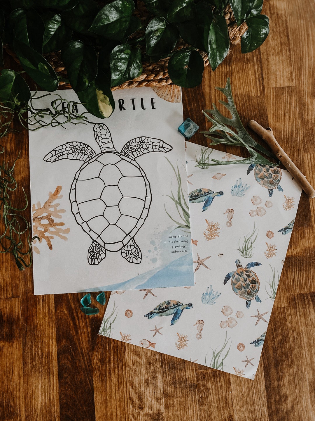 Turtle Playdough Mat, Turtle Shell, Turtle Life Cycle, Ocean Playdough ...