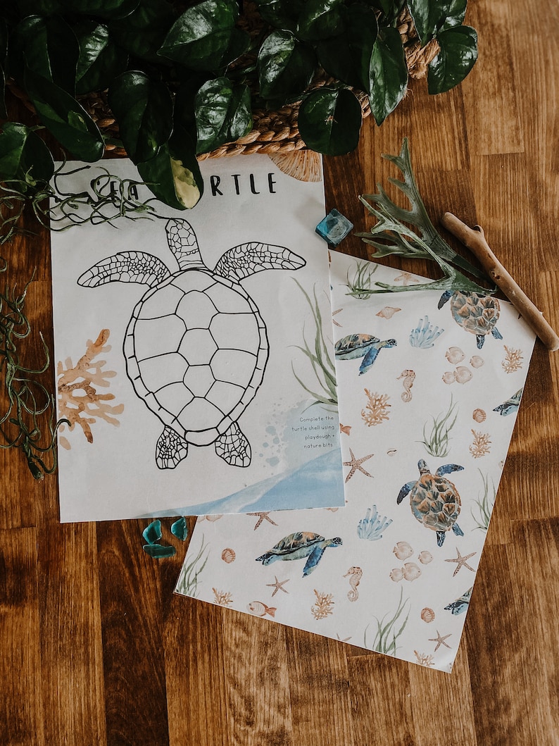 Turtle Playdough Mat, Turtle Shell, Turtle Life Cycle, Ocean Playdough ...