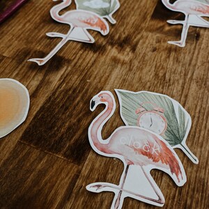 Flamingo Activity Unit, Tropical Bird Unit, 3 Part Flashcards ...