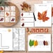 Owl Mini Unit Study Bundle Owl Study Fall Montessori Unit - Etsy