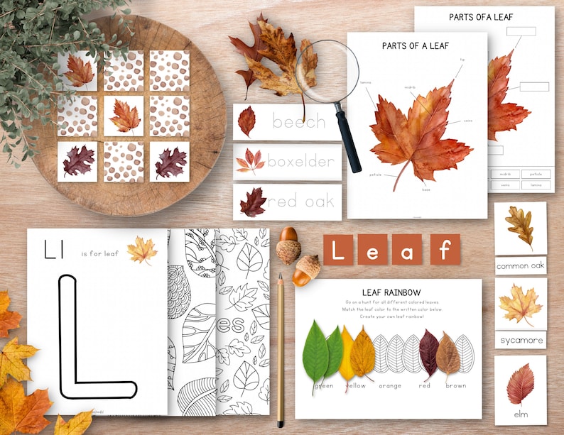 Fall Unit Study Bundle Leaves Unit Study Homeschool Learning - Etsy