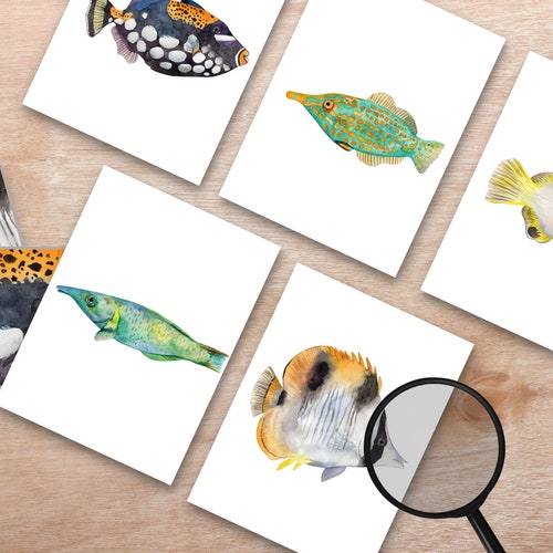Fish Pattern Matching Cards Ocean Study Unit Animal - Etsy