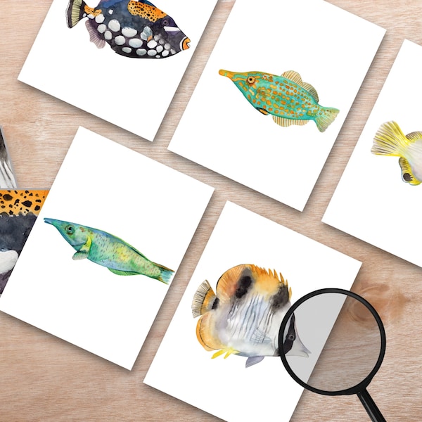 Tropical Fish - Etsy