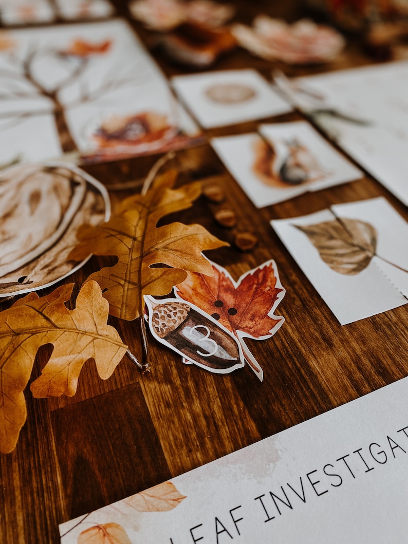 Leaf Activity Unit, Leaf Montessori Unit, Nature Flashcards, Homeschool ...