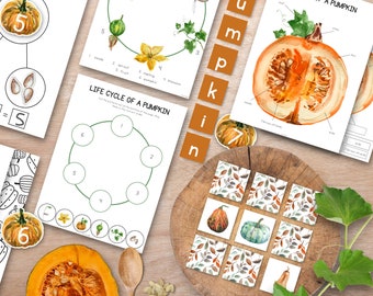 Fish Life Cycle Nature Unit Study Montessori 3 Part Cards - Etsy