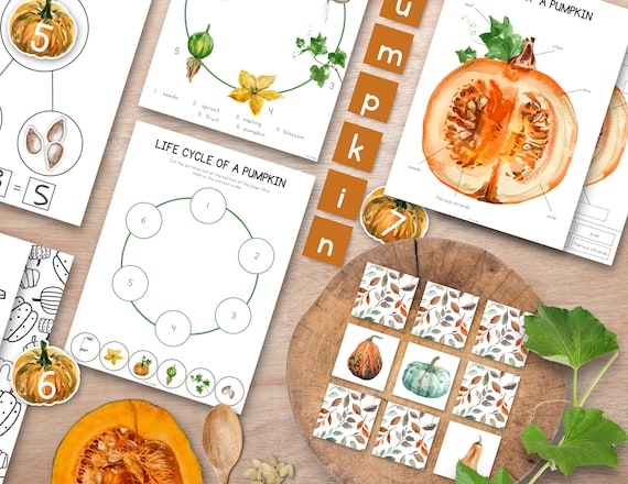Pumpkin Unit Study Pumpkin Life Cycle Fall Montessori Unit - Etsy