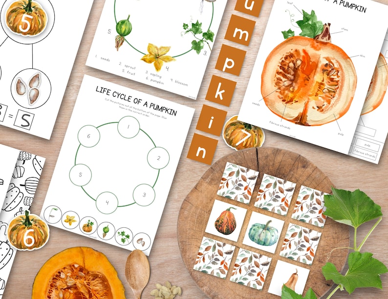 Pumpkin Unit Study Pumpkin Life Cycle Fall Montessori Unit - Etsy