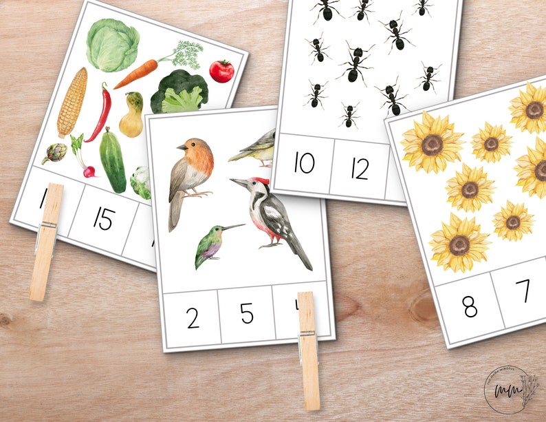 Nature Count and Clip Cards 1-20, Number Matching Cards, Counting ...