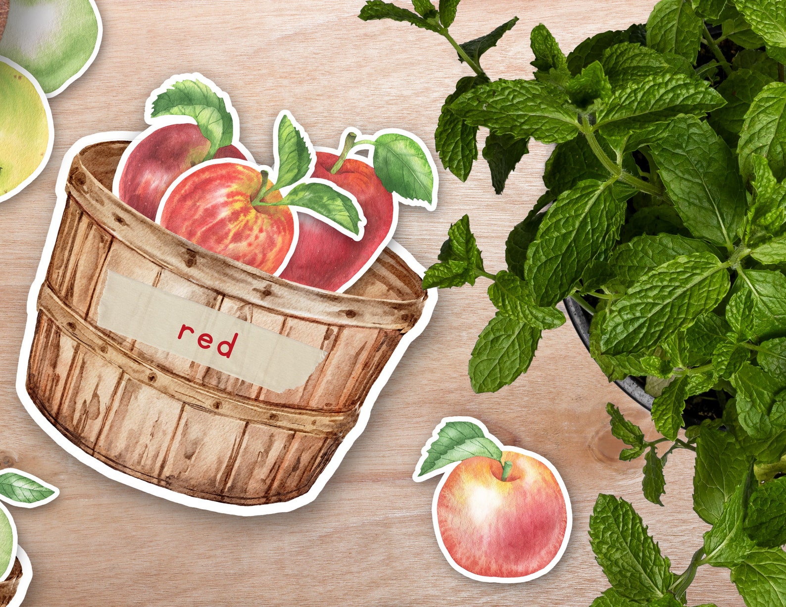 Apple Color Matching Game Toddler Montessori Activity - Etsy