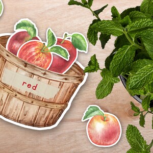 Apple Color Matching Game, Toddler Montessori Activity, Preschool Apple ...