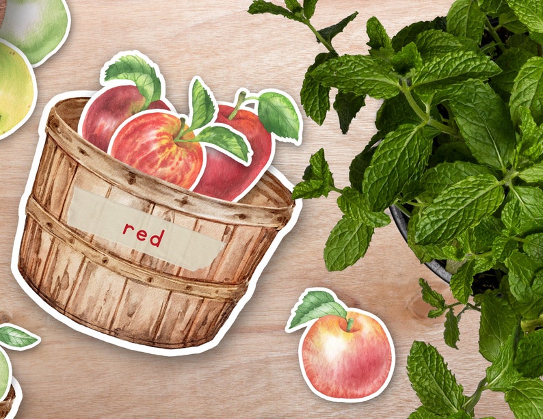 Apple Color Matching Game Toddler Montessori Activity - Etsy