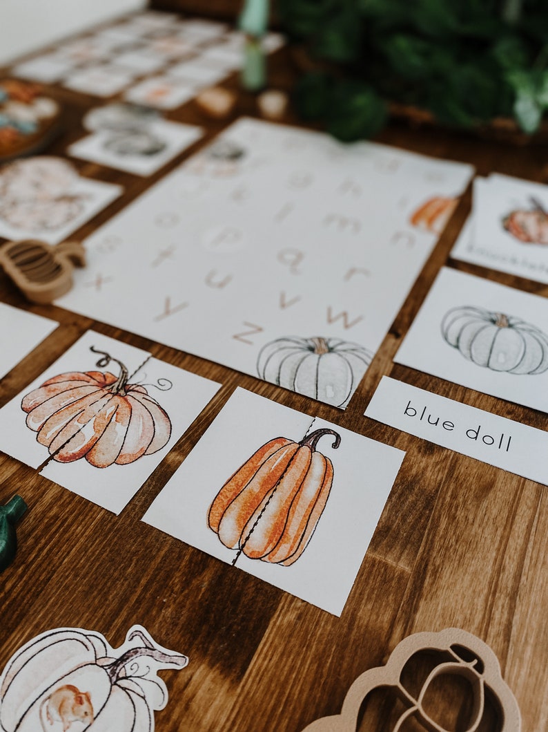 Pumpkin Activity Unit, Pumpkin Montessori Unit, Nature Flashcards ...