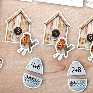 Bird Activity Unit, Backyard Birds Montessori Unit, Nature Flashcards ...