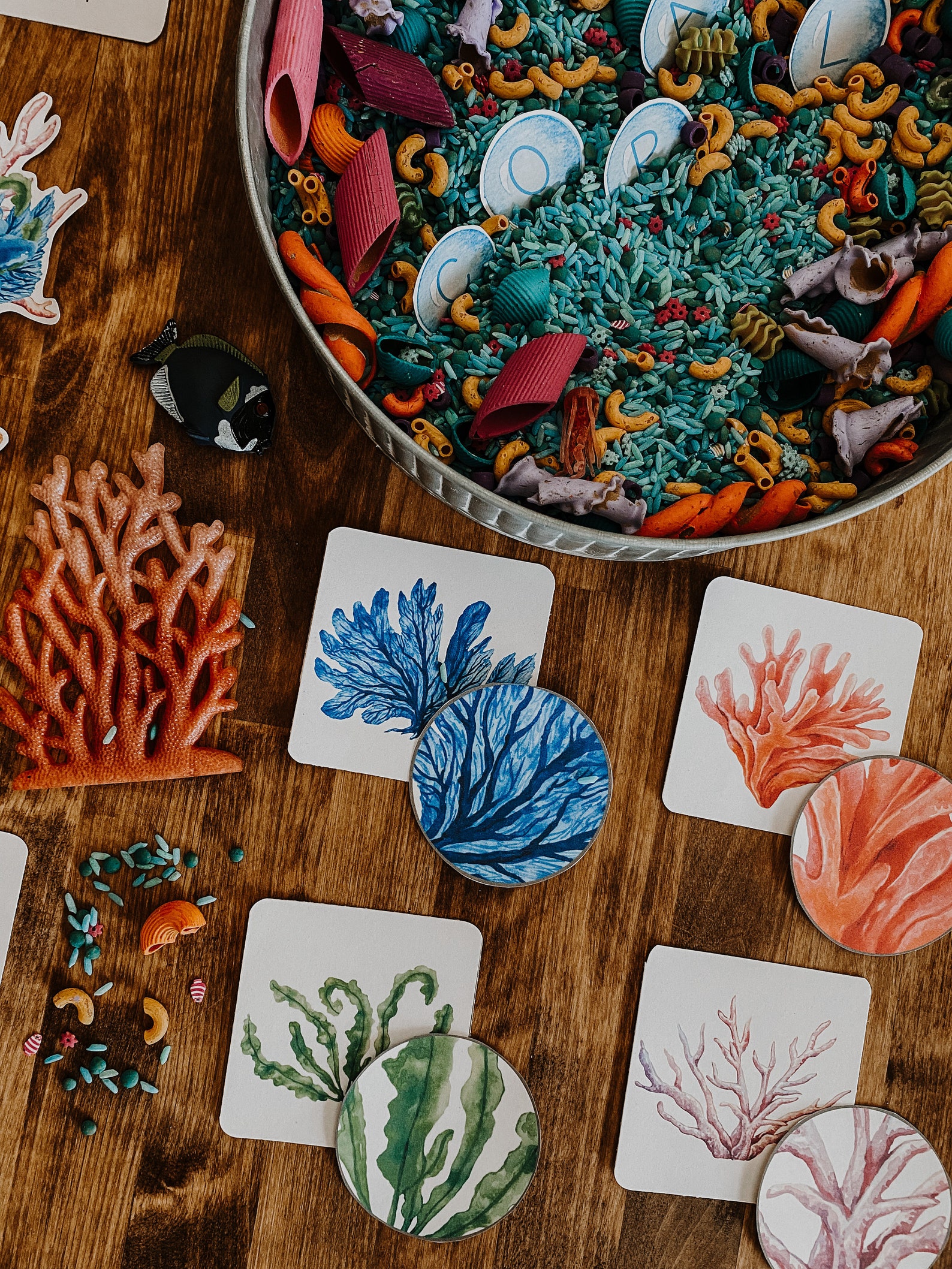 Coral Reef Activity Unit, Ocean Study Unit, 3 Part Flashcards ...