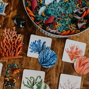 Coral Reef Activity Unit, Ocean Study Unit, 3 Part Flashcards ...