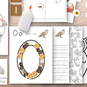 Owl Unit Study Bundle, Owl Study, Fall Montessori Unit, Nature ...