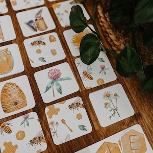 Bee Activity Unit, Bee Montessori Unit, Nature Flashcards, Homeschool ...