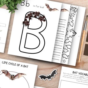 Bat Unit Study Bundle, Bat Study, Bat Life Cycle, Fall Montessori Unit ...